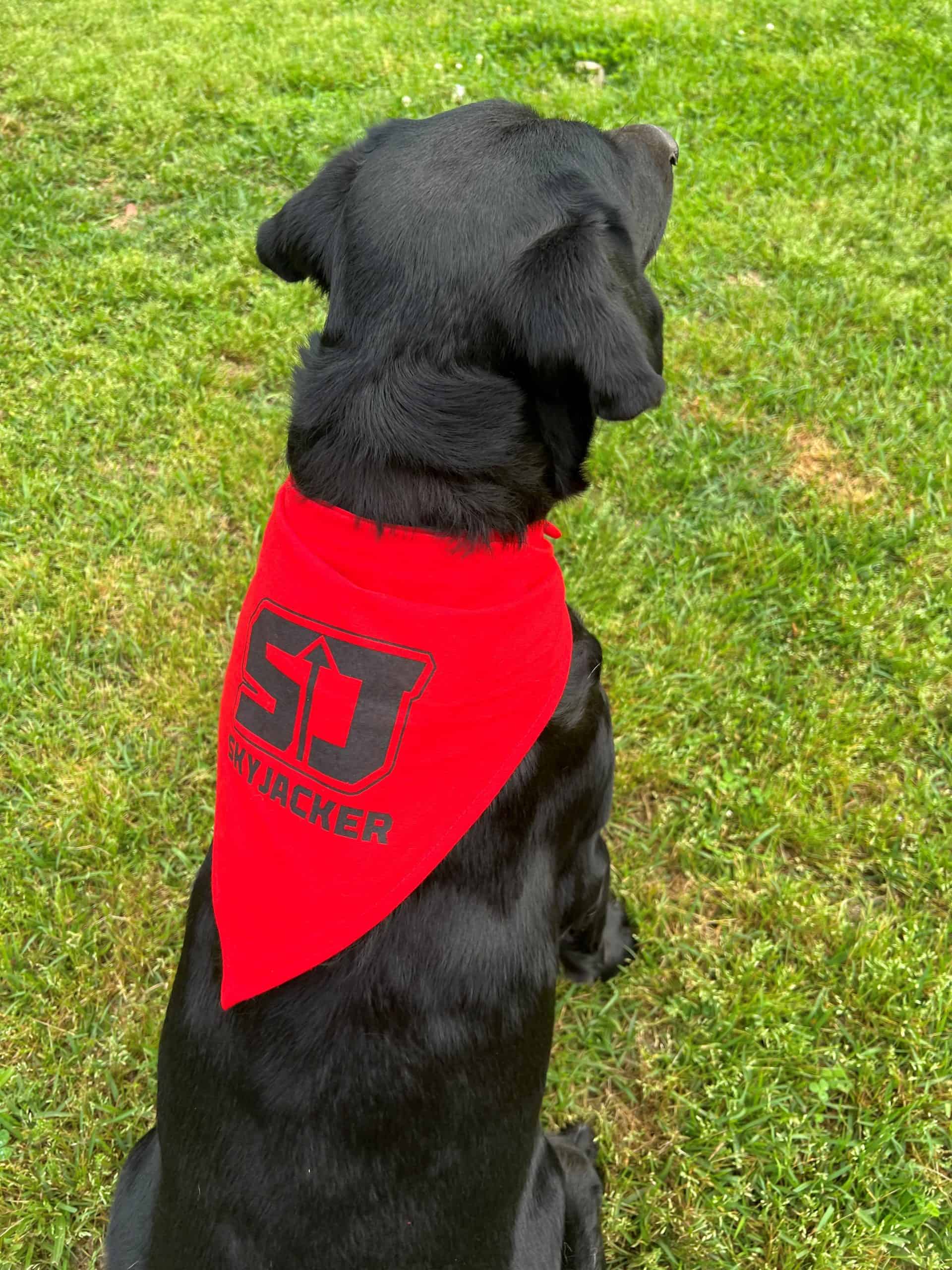 Large Dog Bandana - Skyjacker Suspensions